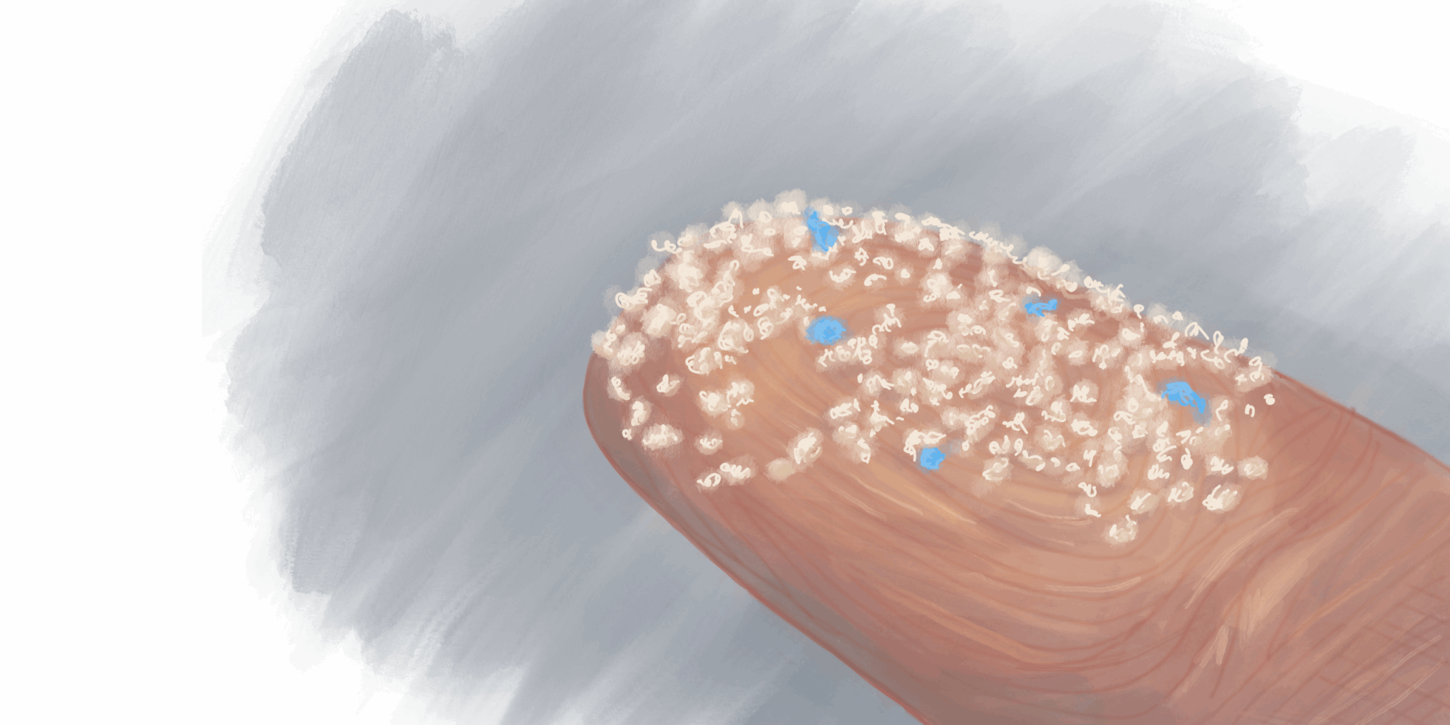 Pro/Contra: Süße steuern? – ruprecht